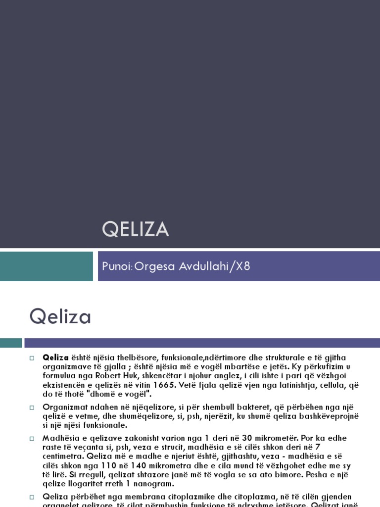 Qeliza | PDF