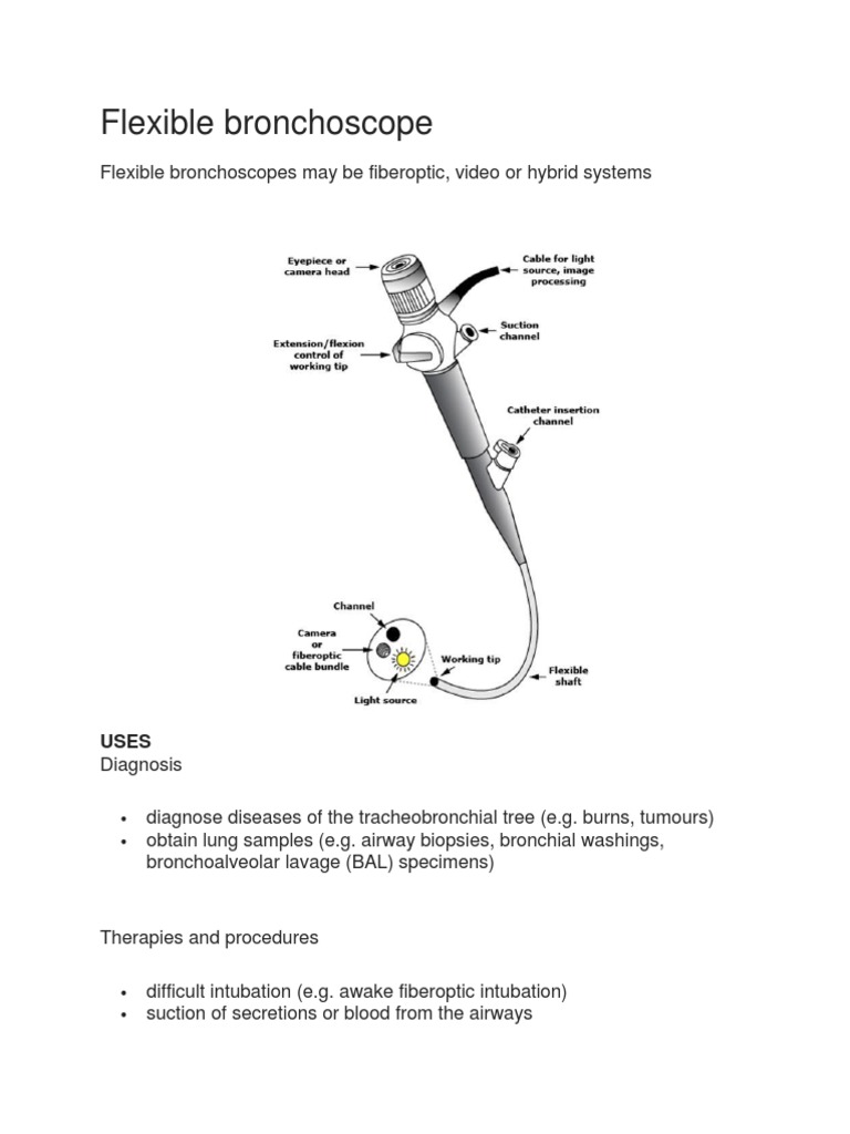 Flexible Bronchoscope Guide | PDF | Technology & Engineering