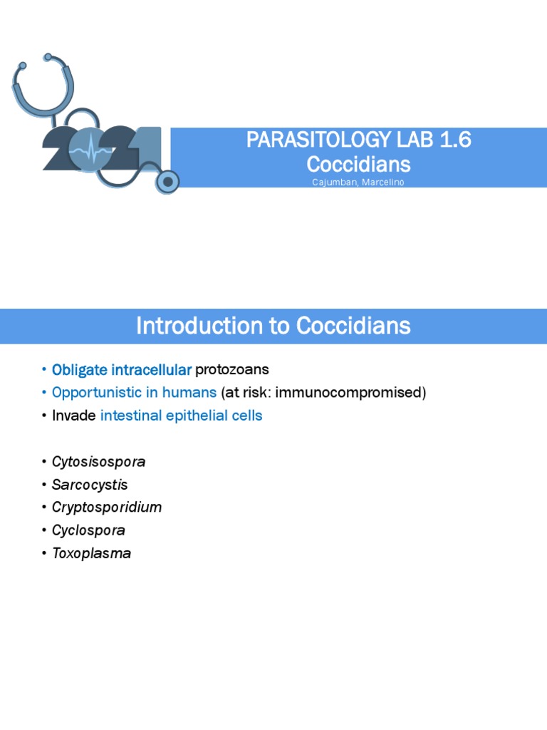 Coccidians: Overview and Clinical Insights | PDF | Diseases And ...