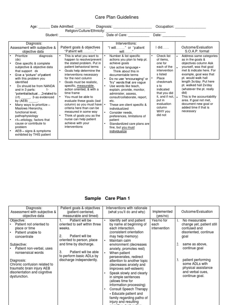 Care Plan Guidelines | PDF | Pain | Goal