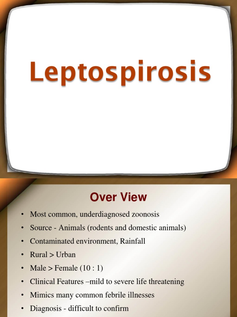 Leptos | PDF | Infection | Diseases And Disorders