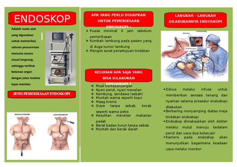 Panduan Pemeriksaan Endoskopi | PDF | Kesehatan Holistik