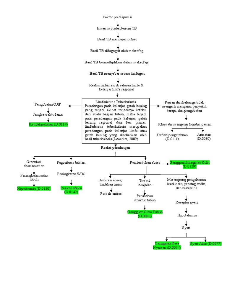 Pathway Limfadenitis TB | PDF