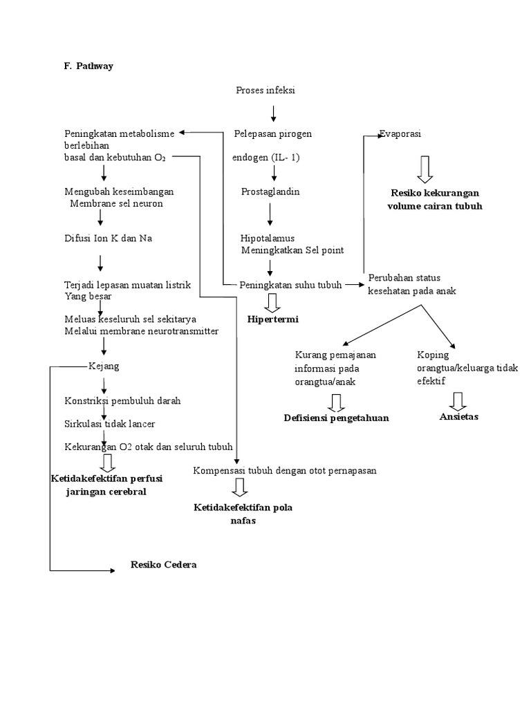 Pathway Kejang | PDF