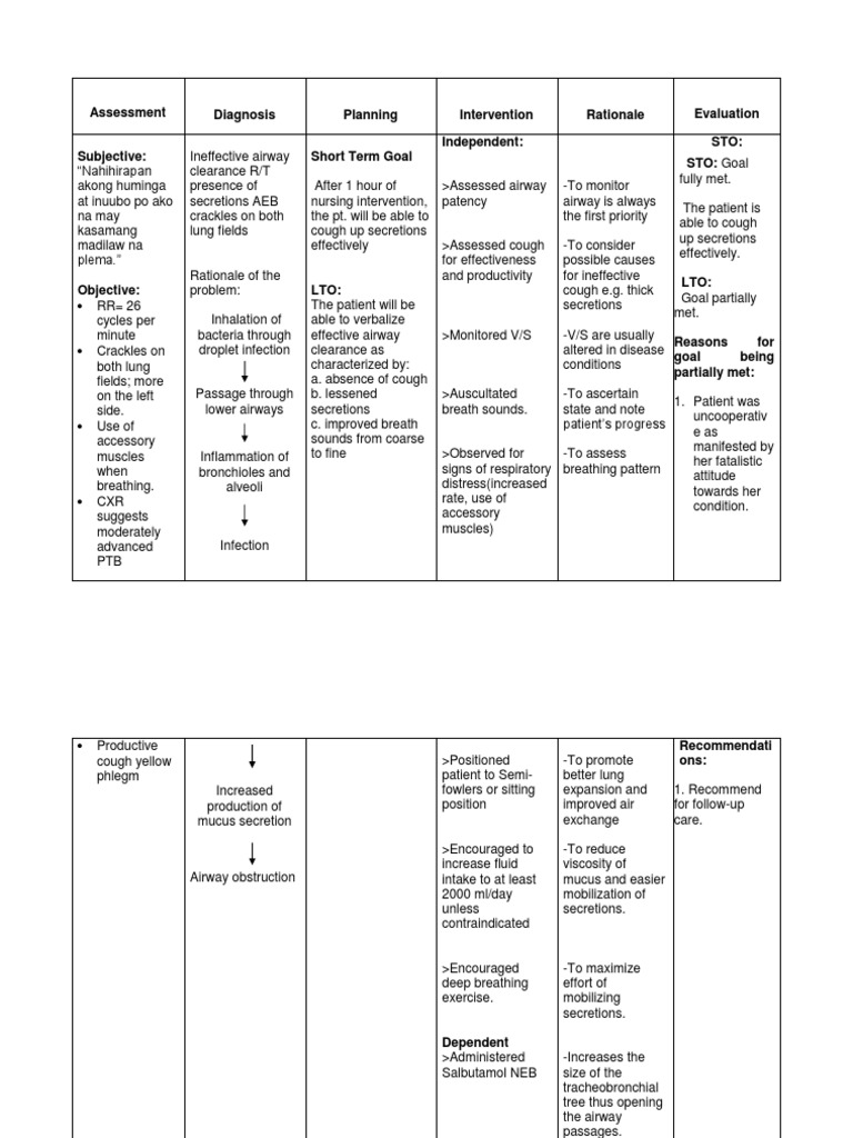 PTB NCP | PDF | Respiratory Tract | Breathing