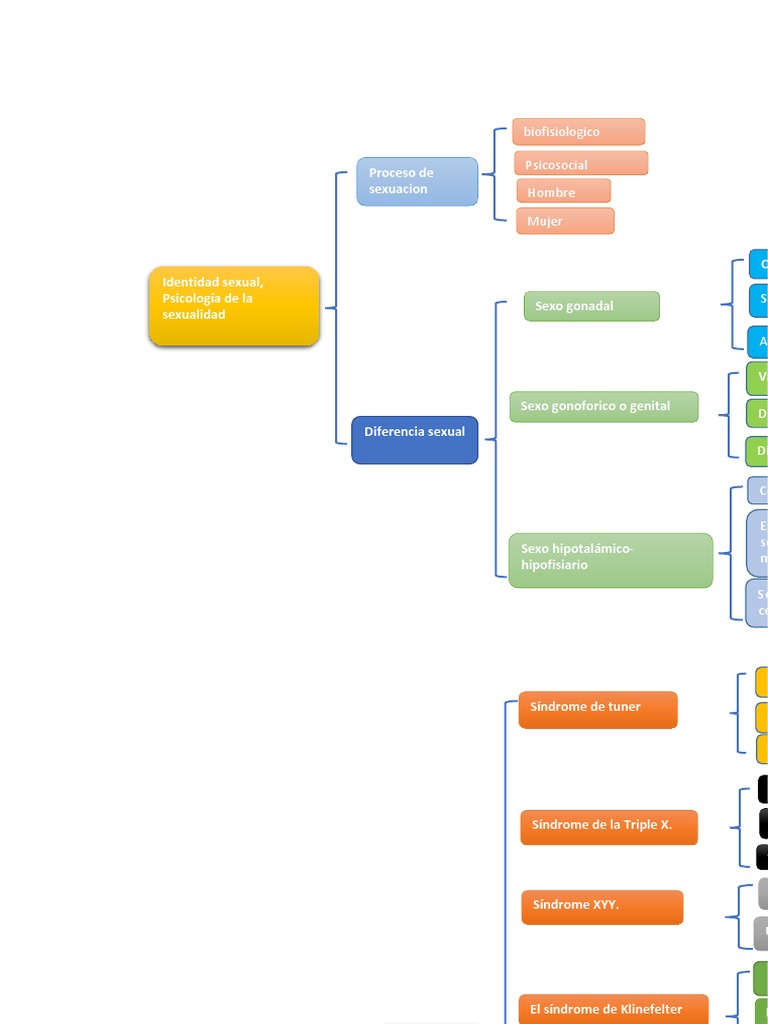 Cuadro Sinoptico Grupal | PDF