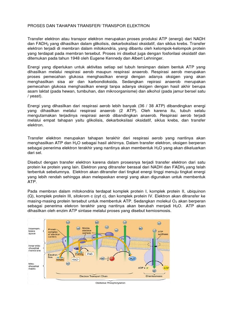 Transfer Elektron | PDF