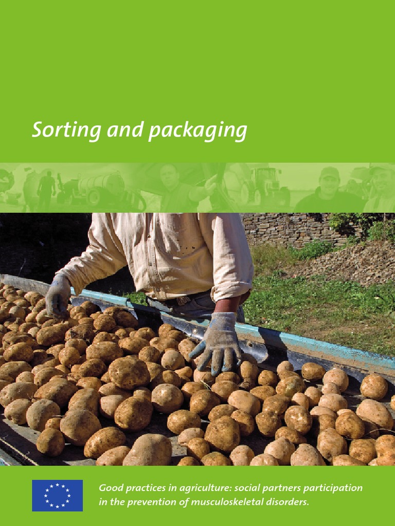 Preventing MSDs in Sorting & Packing | PDF | Packaging And Labeling | Robot