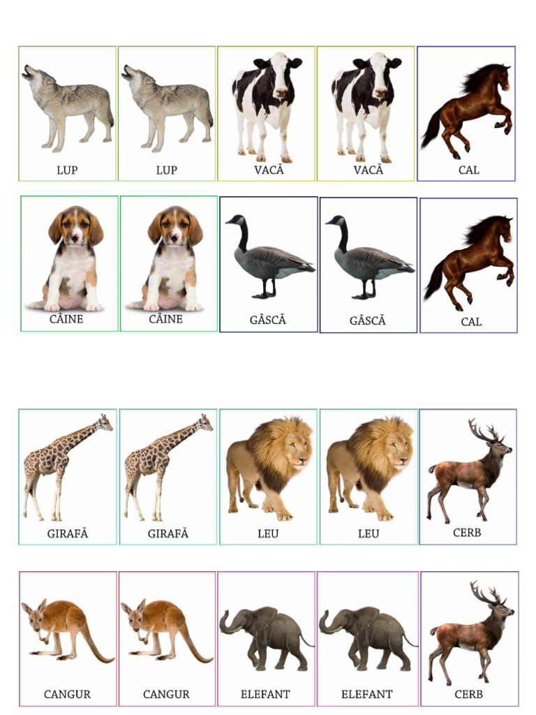 Jetoane Animale | PDF