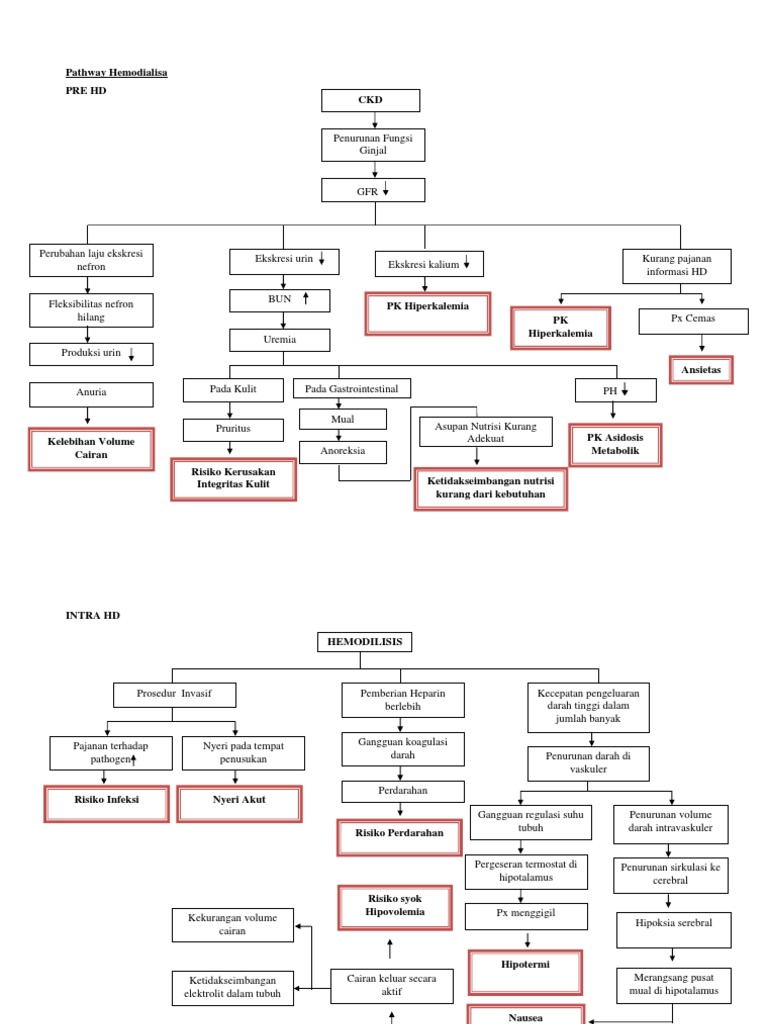 Pathway Hemodialisa: Proses dan Risiko | PDF