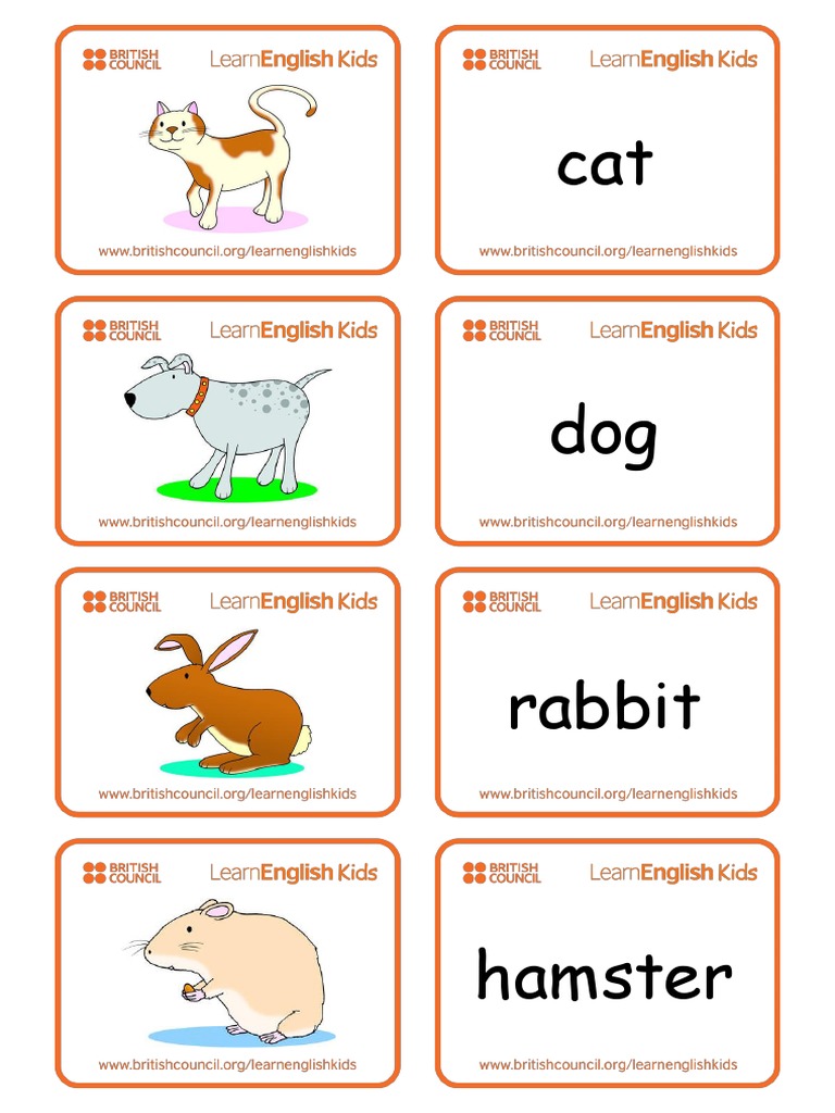 Flashcards Pets PDF | PDF