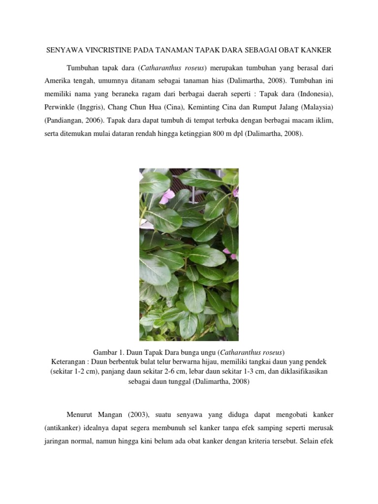 Tumbuhan Tapak Dara | PDF