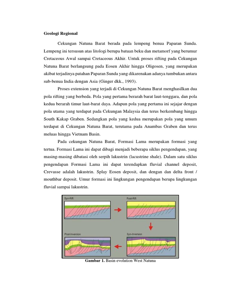 West Natuna Basin | PDF