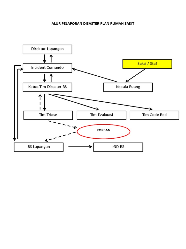 Alur Pelaporan Disaster Plan Rumah Sakit | PDF