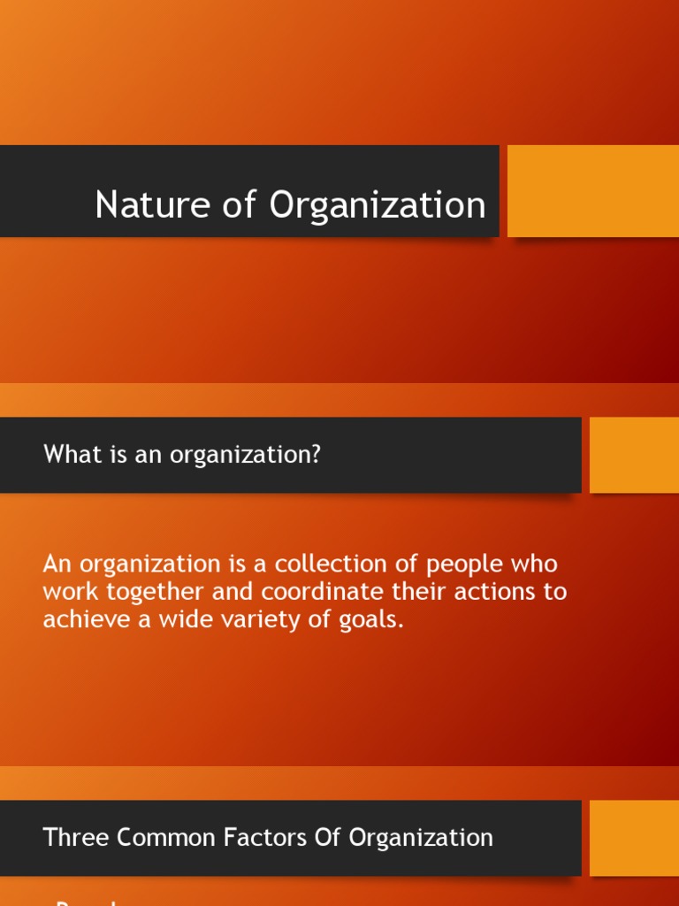 Nature of Organization | PDF