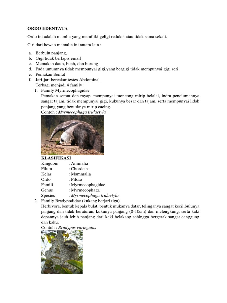 Ordo Edentata | PDF