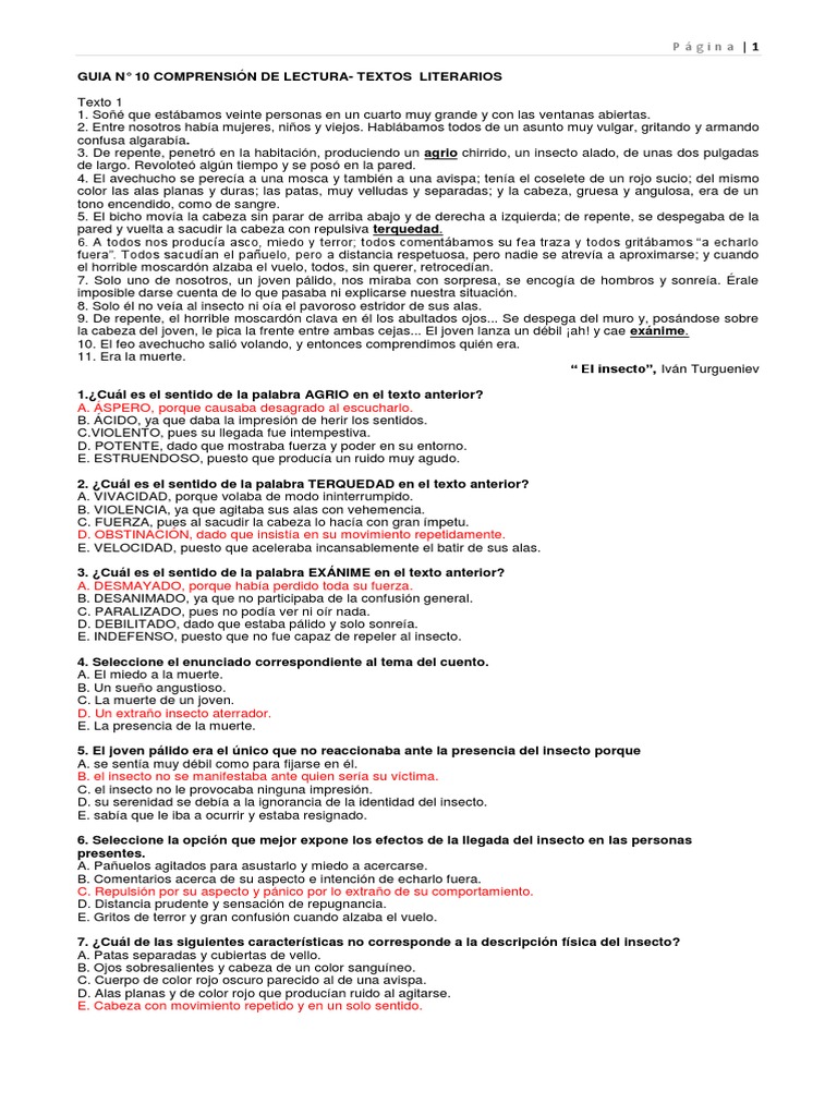 El avechucho: símbolo de muerte | PDF | Insectos