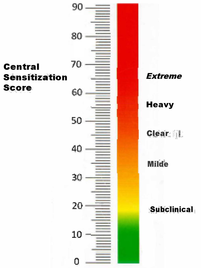Central Sensitization Score: Extreme | PDF