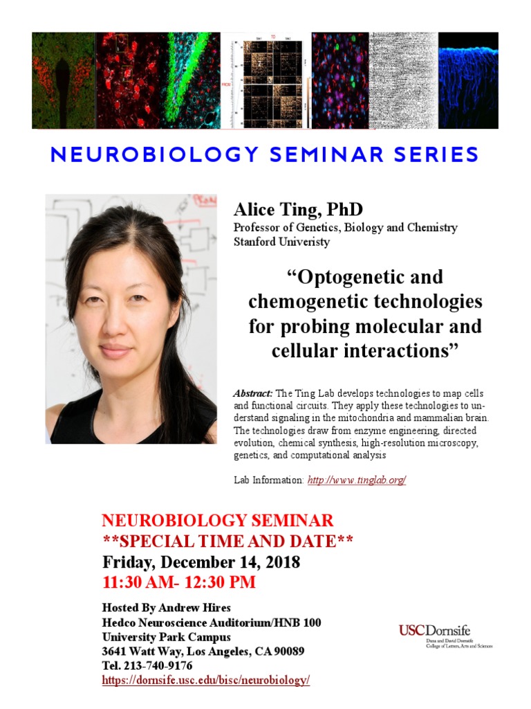 Seminar Flyer - Alice Ting | PDF