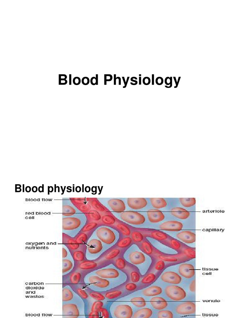Physiology of Blood | PDF | Blood Type | White Blood Cell