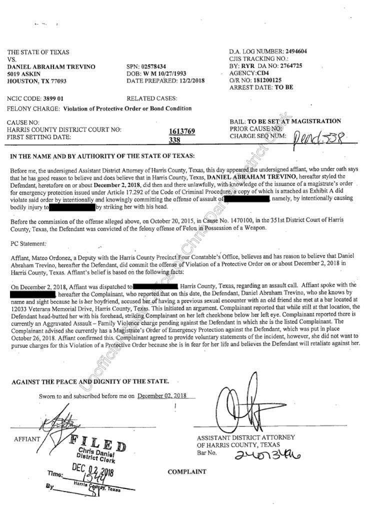 Daniel Trevino's Violation of Protective Order | PDF