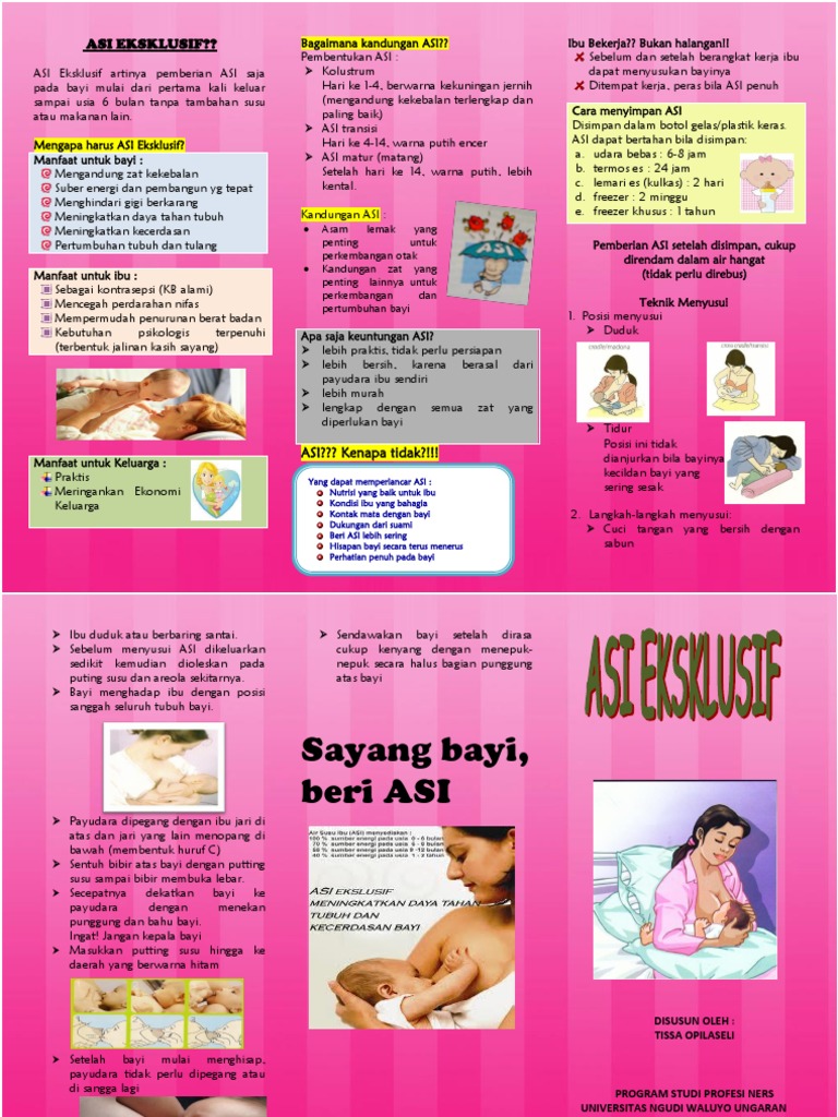 Leaflet Asi | PDF
