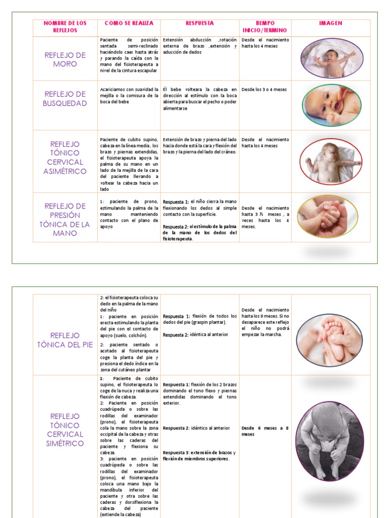 Nombre de Los Reflejos | PDF | Pie | Mano
