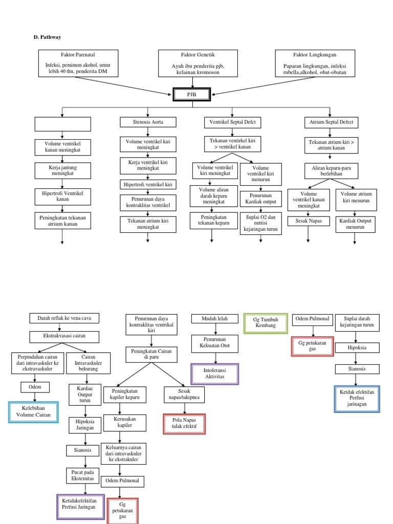 Pathway Penyakit Jantung Bawaan | PDF