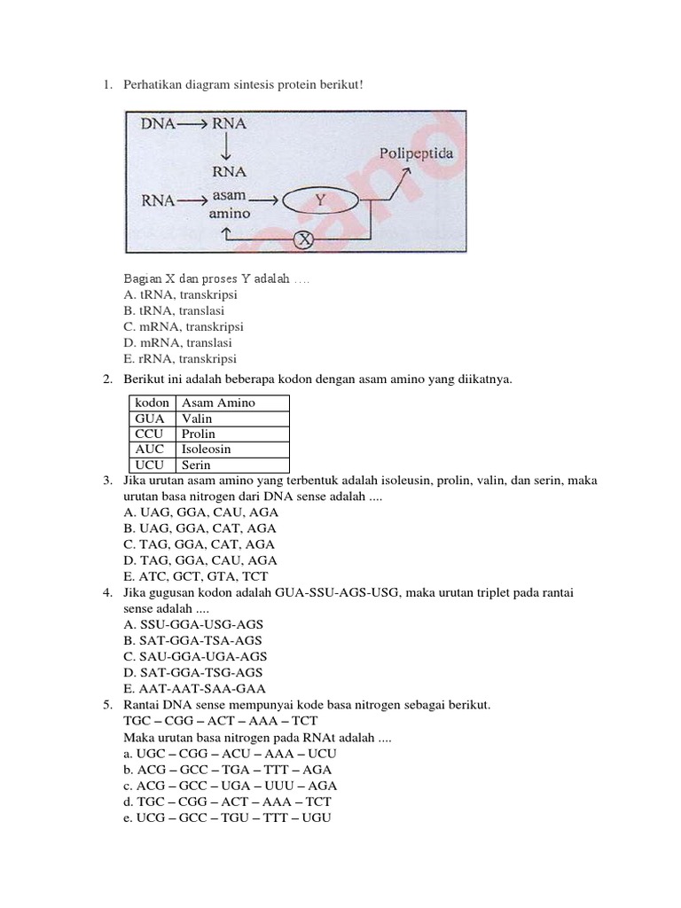 Soal Materi Genetik | PDF