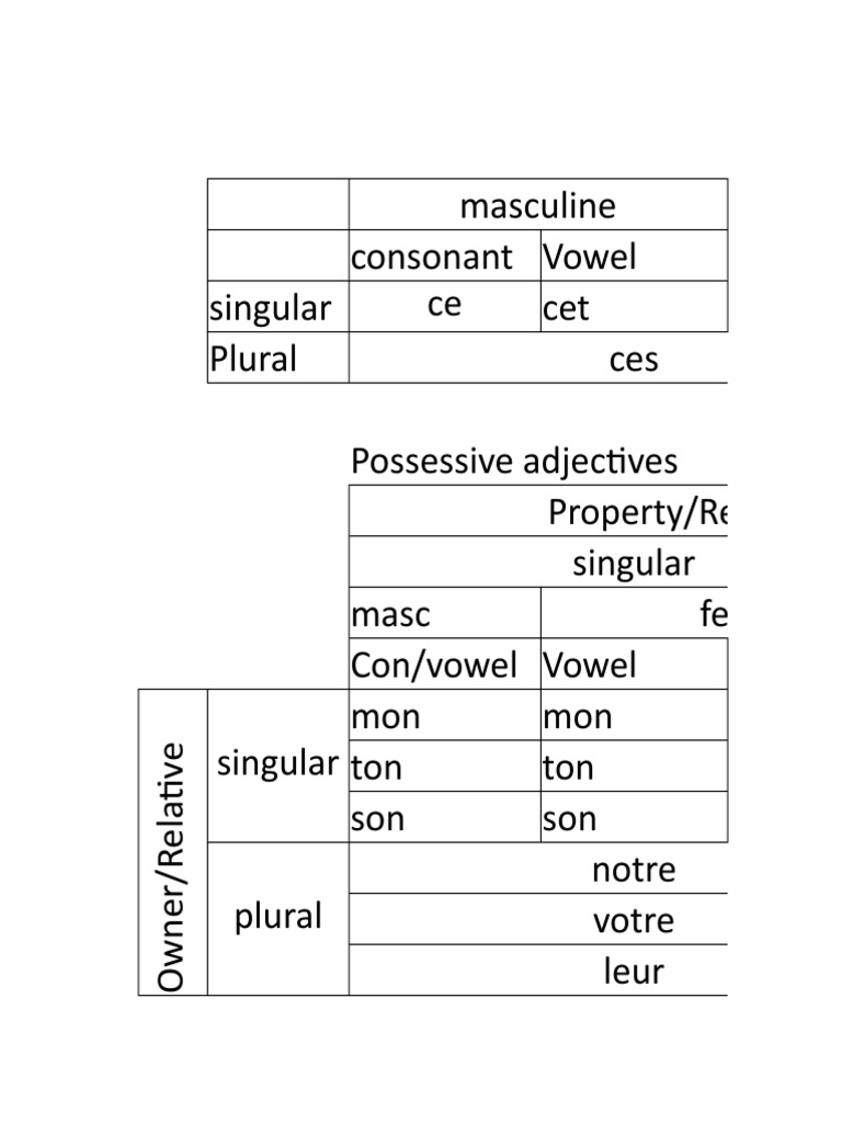 French Possessive Adjectives Guide | PDF | Language Arts & Discipline
