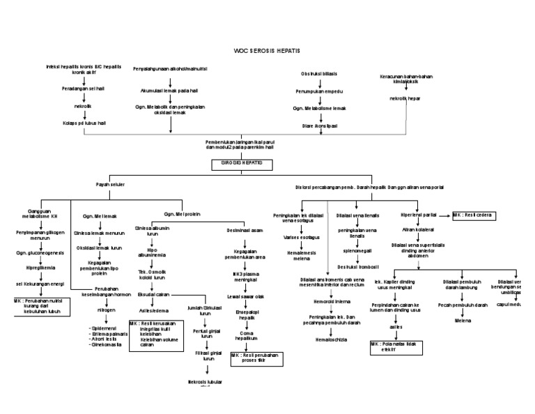 WOC Sirosis Hepatitis | PDF