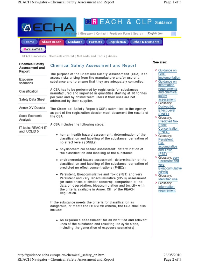 Chemical Safety Report Preparation Guide | PDF | Toxicity | Life Cycle Assessment
