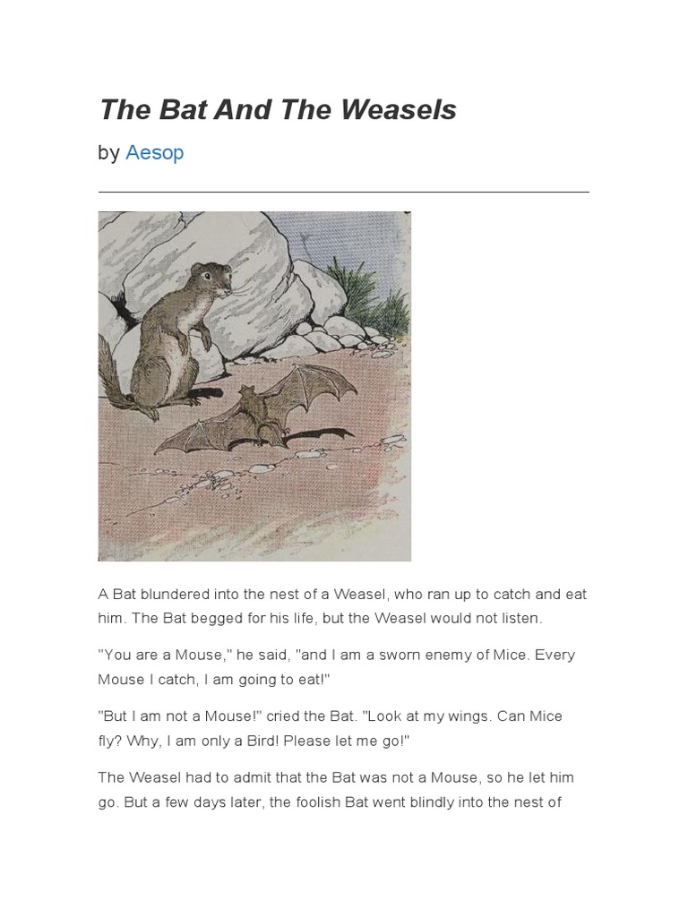 The Bat and The Weasels | PDF