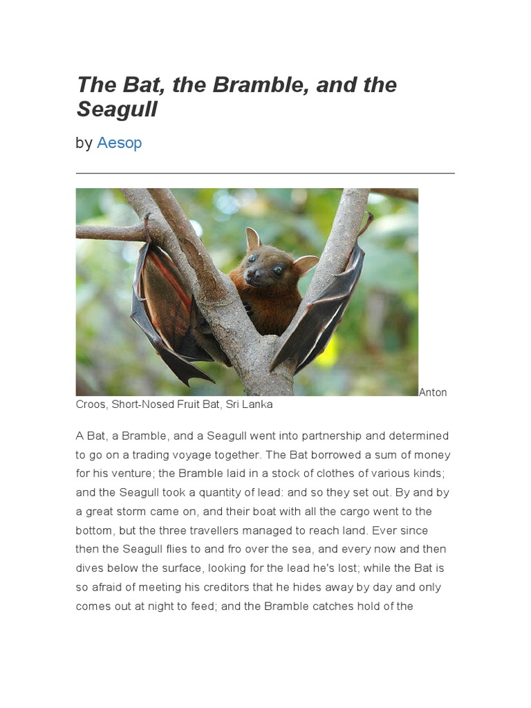 The Bat, The Bramble, and The Seagull: Aesop | PDF