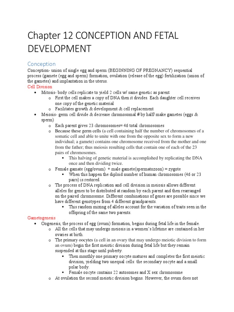 Conception and Fetal Development Guide | PDF | Meiosis | Implantation ...