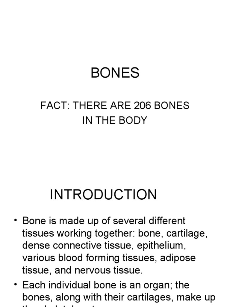 Bones: Fact: There Are 206 Bones in The Body | PDF | Bone | Osteoblast
