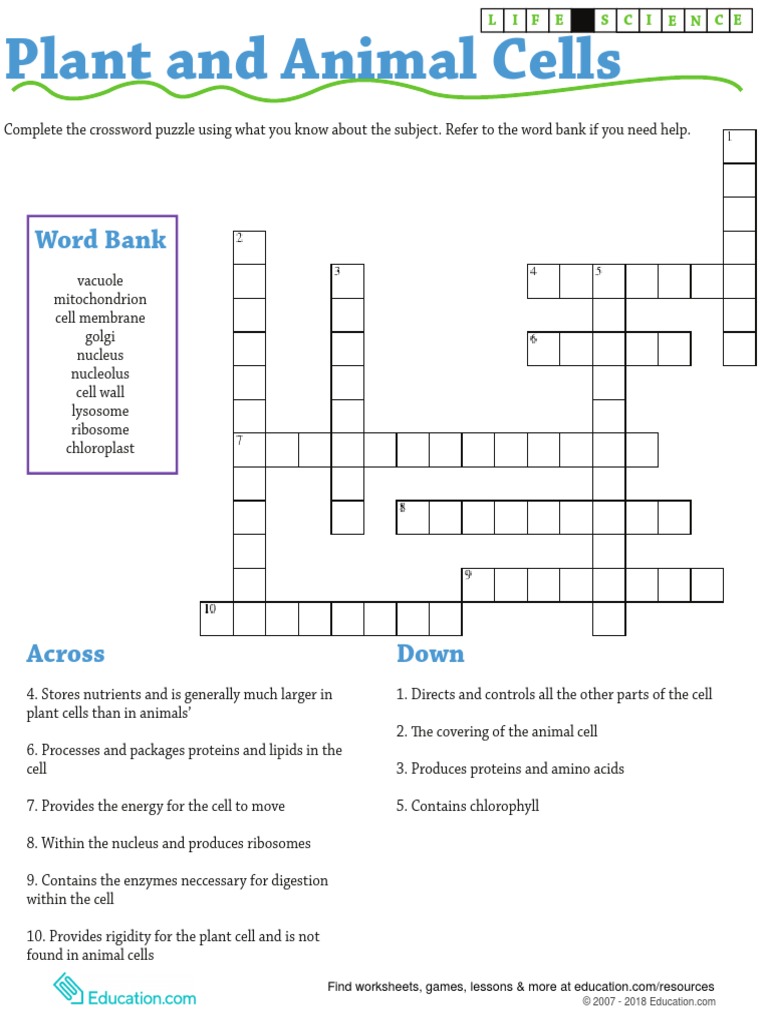 Plant Cell Crossword Puzzle | PDF