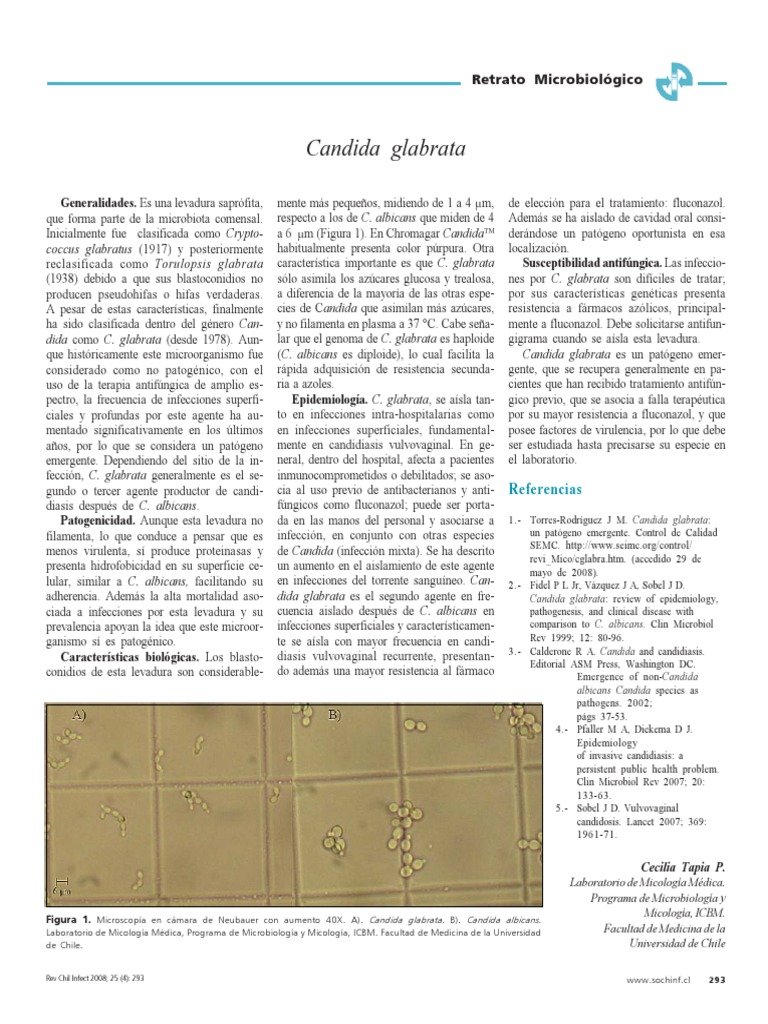 A. Candida Glabrata | PDF | Candidiasis | Inmunología