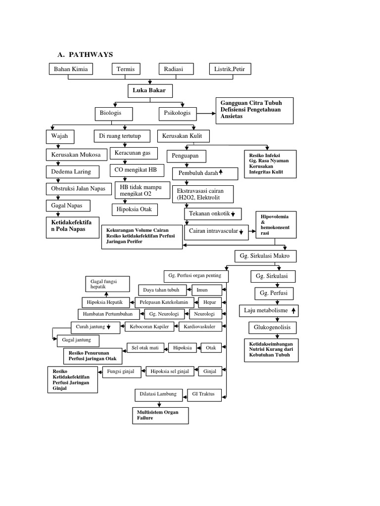 Pathways Combustio | PDF