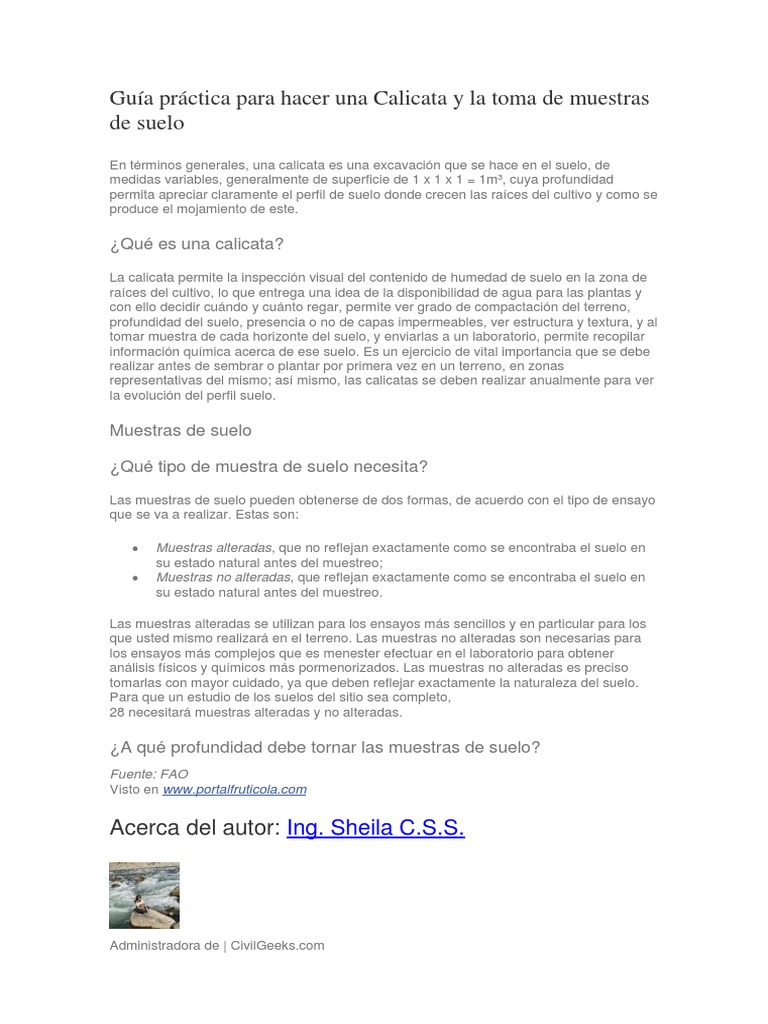 Calicata | PDF | Suelo | Naturaleza