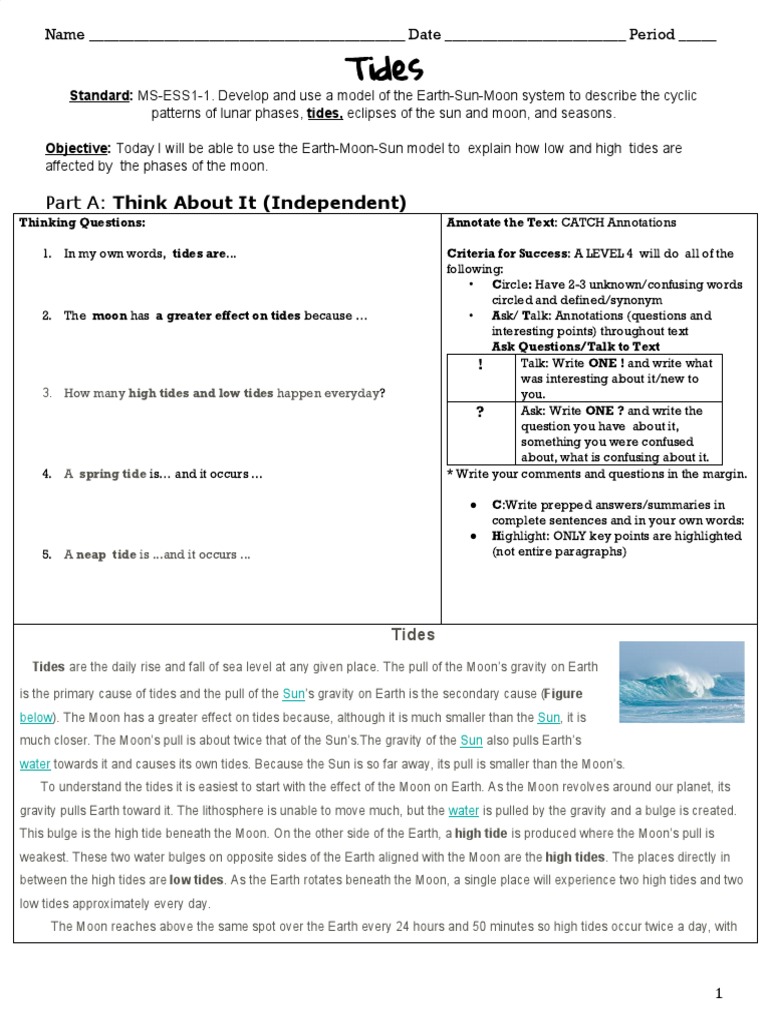 Tides Reading and Virtual Lab | PDF | Tide | Moon