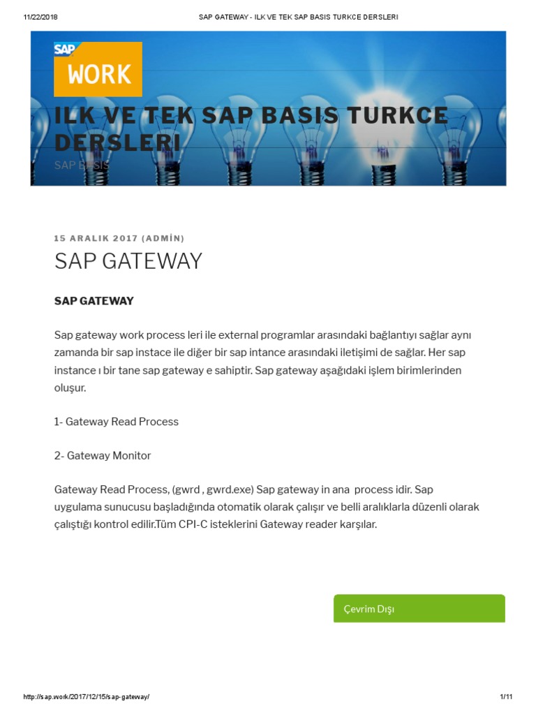Sap Gateway - Ilk Ve Tek Sap Basis Turkce Dersleri | PDF