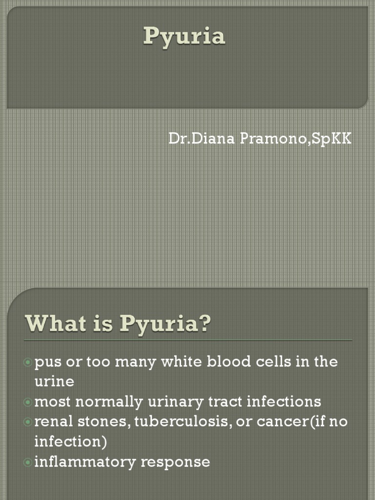 7 Pyuria | Download Free PDF | Public Health | Genitourinary System ...