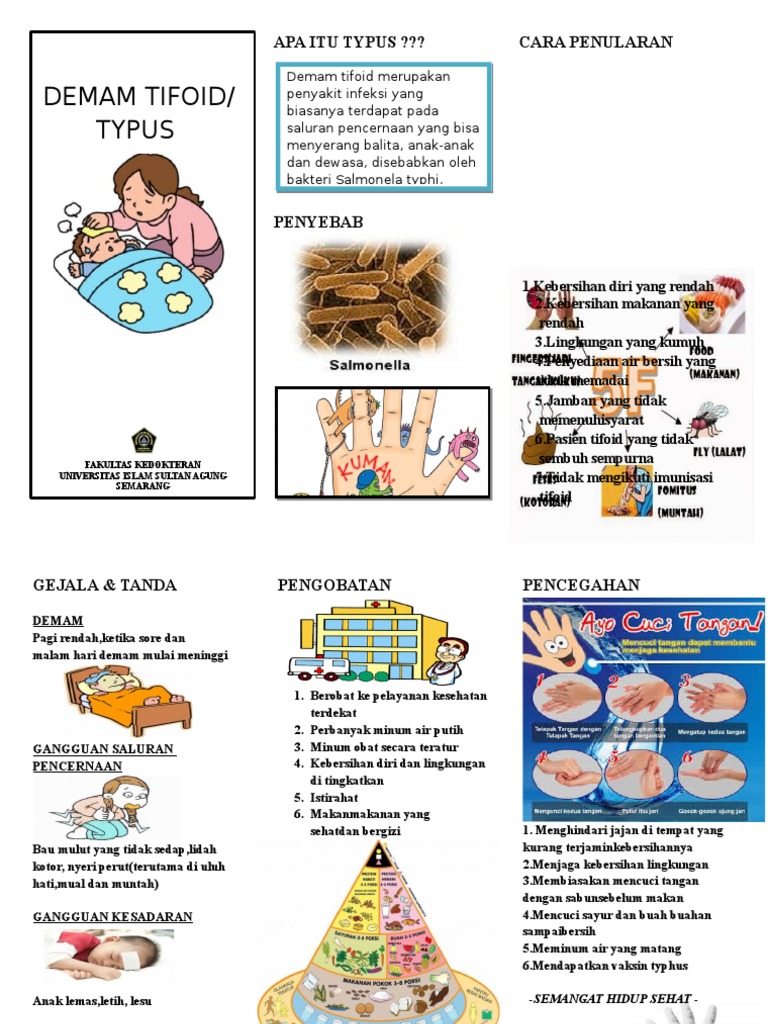 Leaflet Penyuluhan - Demam Thypoid | PDF | Kesehatan Holistik | Sains ...