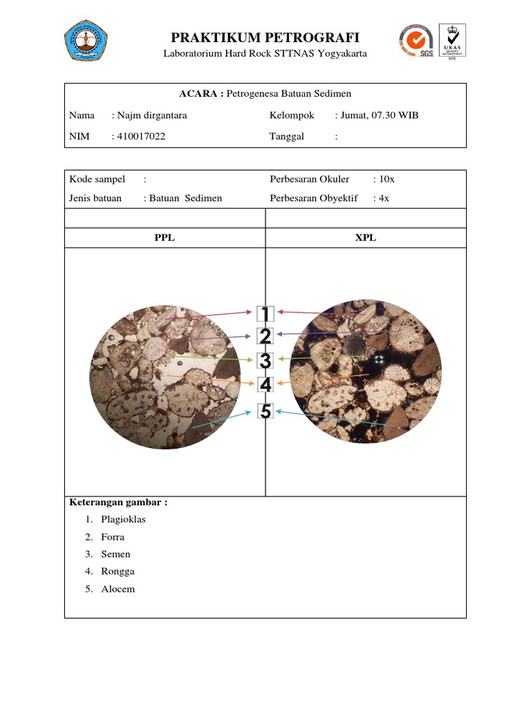 Point Counting | PDF