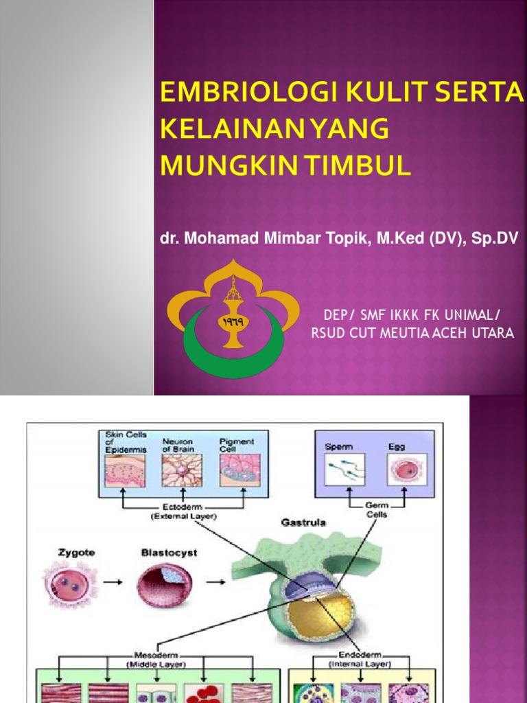 Embriologi Kulit | PDF | Sains & Matematika