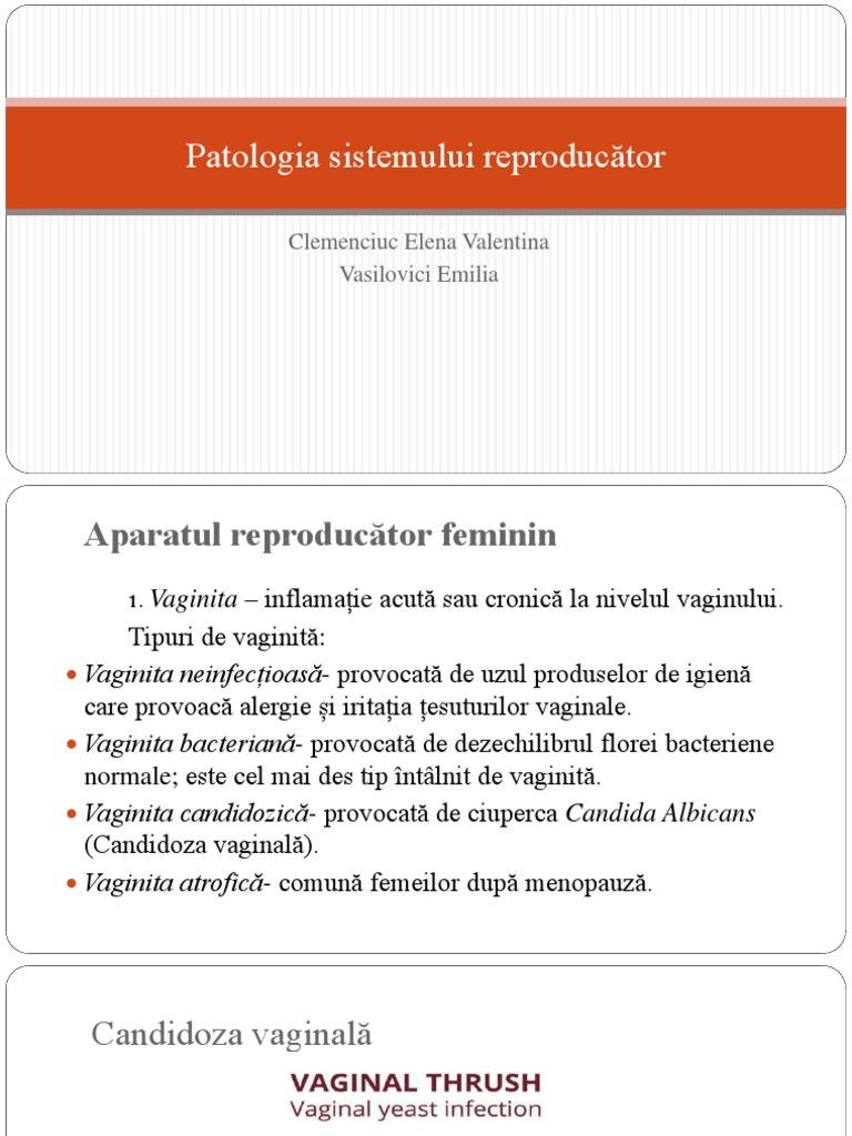 13 FP Reproducere | PDF