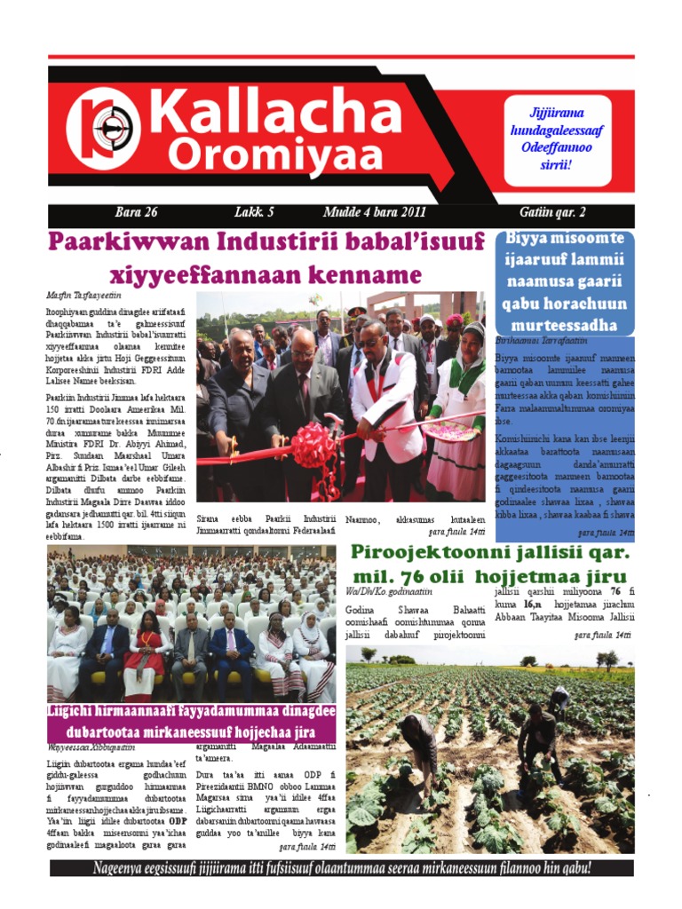 Kallacha Oromiya Bara 26 Lakk.05 | PDF