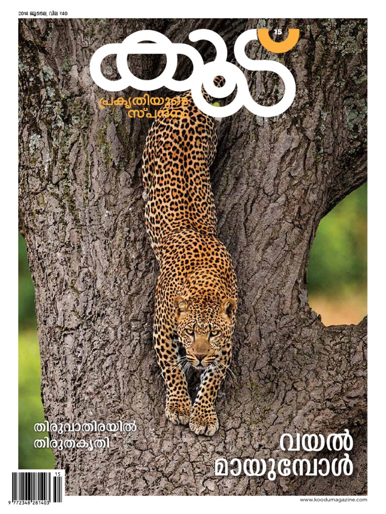 15 Koodu Magazine - 2014 07 | PDF