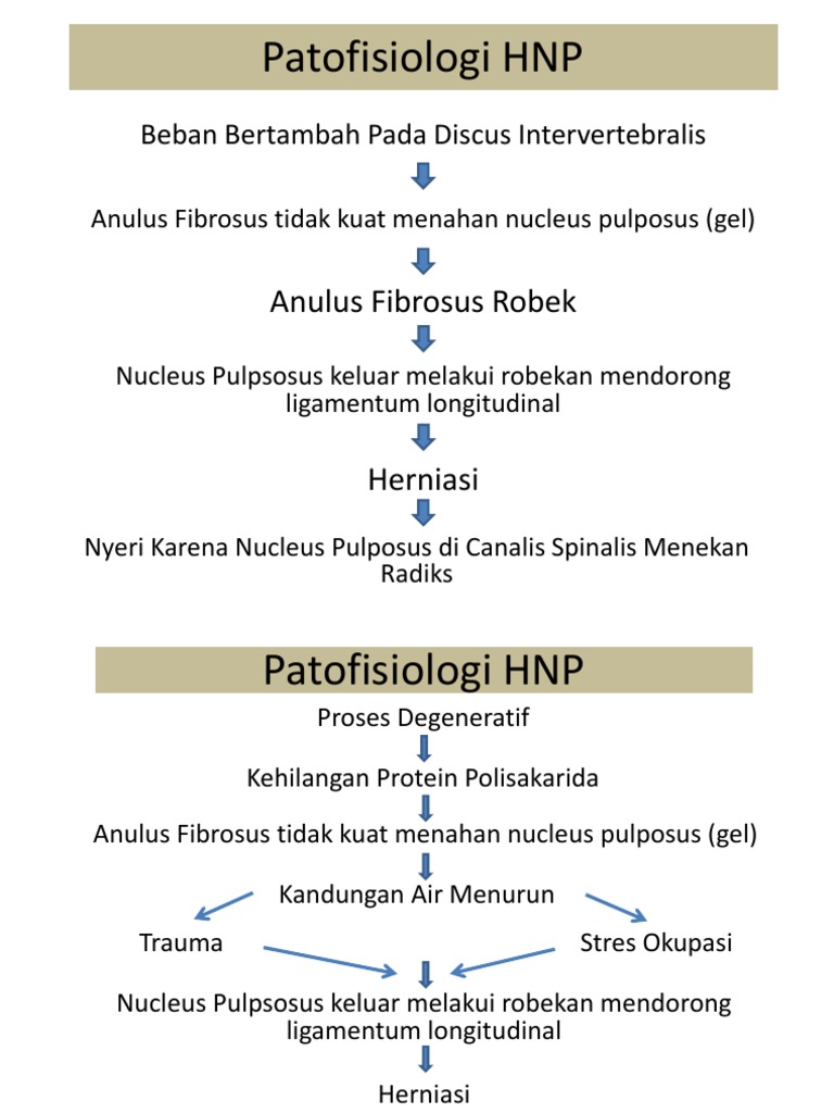 Patofisiologi dan Etiologi HNP | PDF